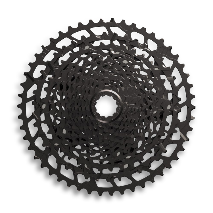 12 Speed MTB Cassettes – Rapide